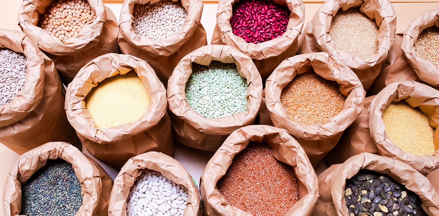 Légumes Secs Bio de Vendée - Terra Libra